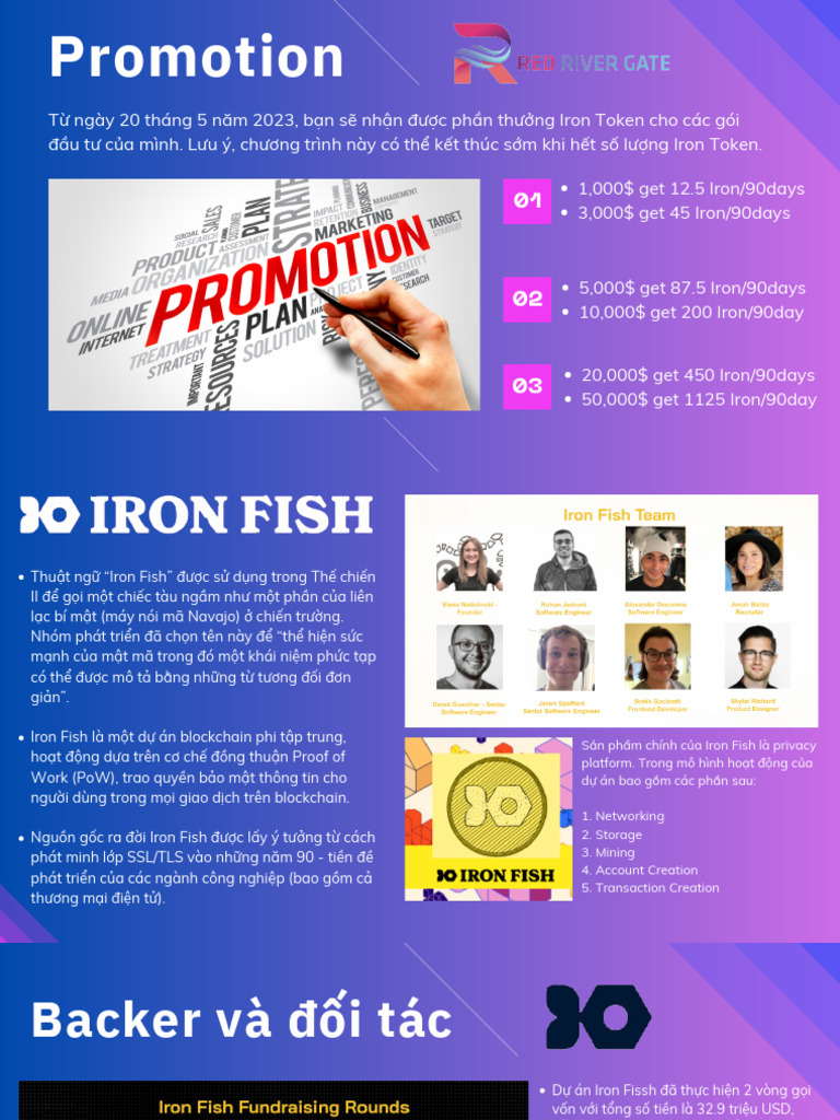 Promotion Iron | PDF