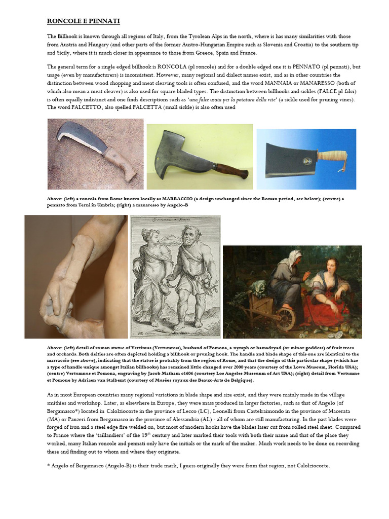 Roncole e Pennati Billhook | PDF | Secondary Sector Of The Economy