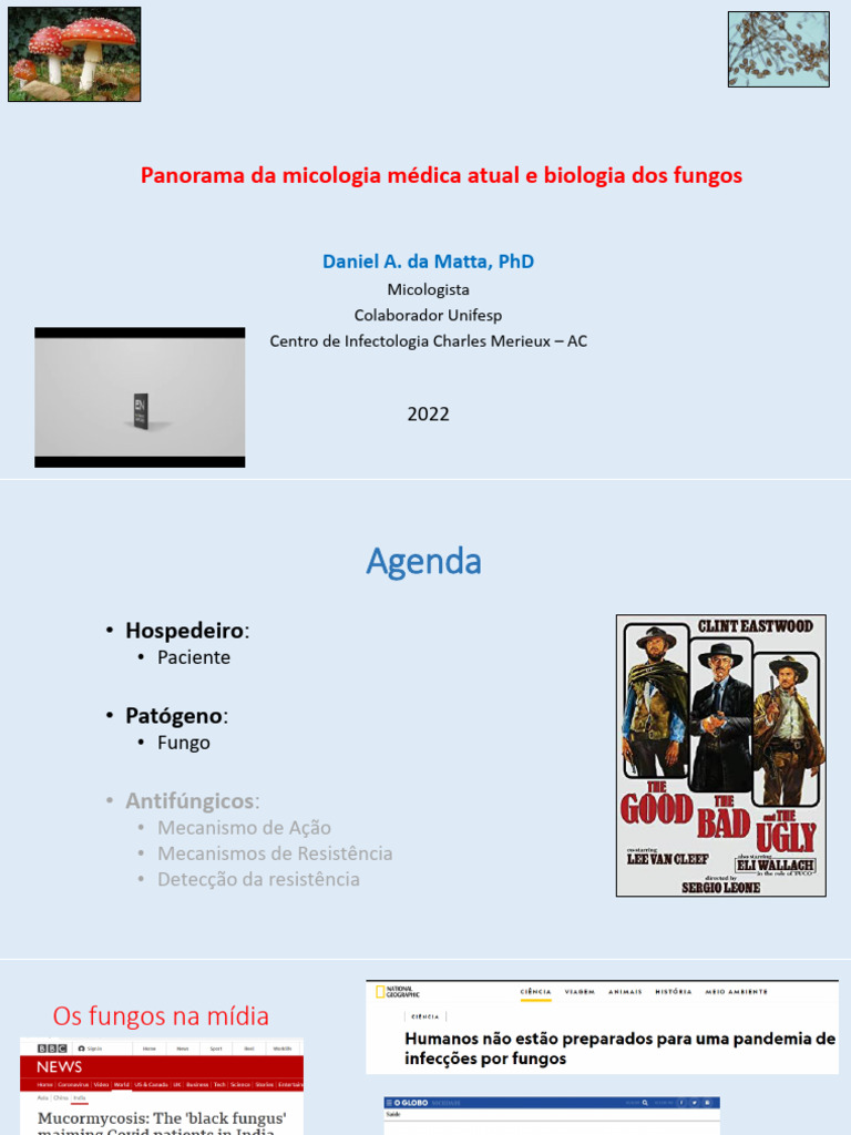 Aula Introdução Micologia - Daniel Da Matta - Abril 2023 | PDF | Fungo ...