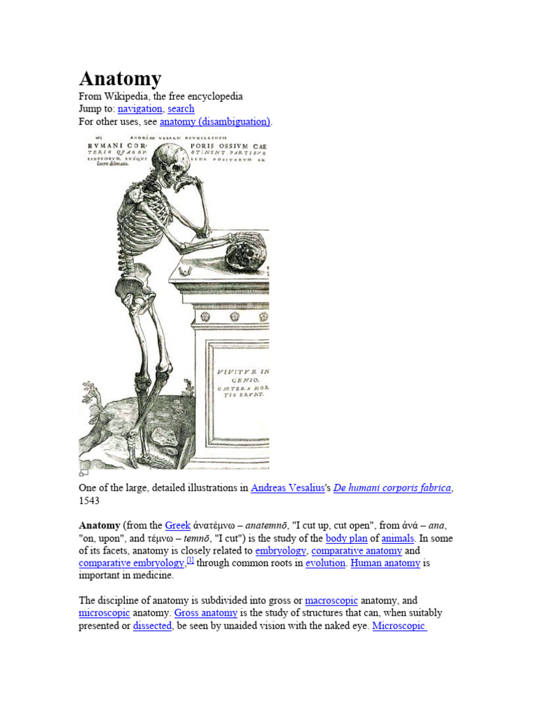 Anatomy | PDF | Anatomy | Epithelium