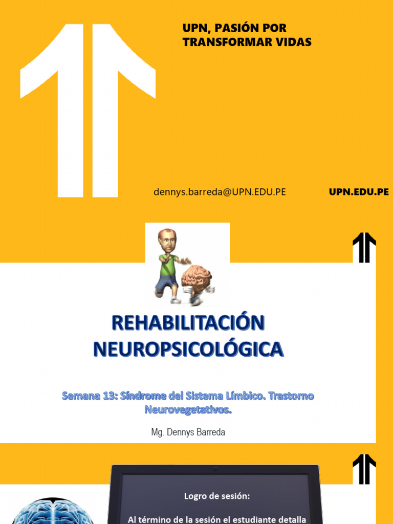 Clase 13 NEURO DB PDF Aula | PDF | Sistema límbico | Las emociones