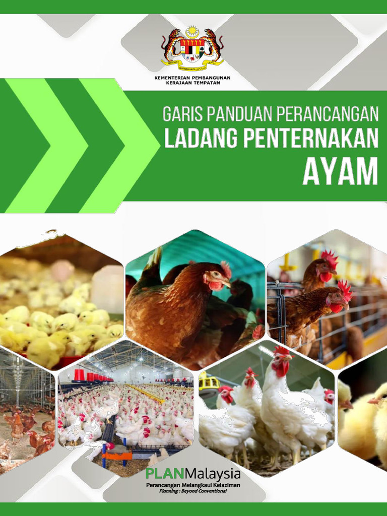 CP GPP Ladang Penternakan Ayam-Edisi Ogos 2023 | PDF