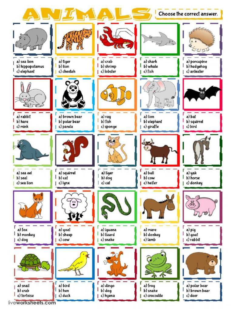 ANIMALSWORKSHEET | PDF
