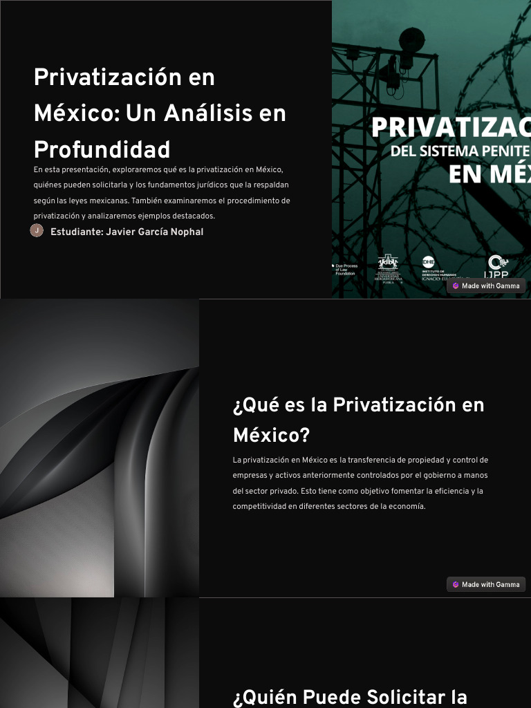 Privatizacion-en-Mexico-Un-Analisis-en-Profundidad | PDF ...