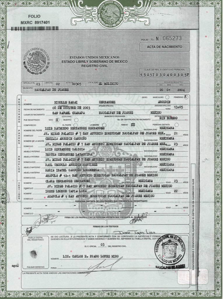 Acta de Nacimiento Actualizada Nicolle Sarai Hernandez Argudin | PDF