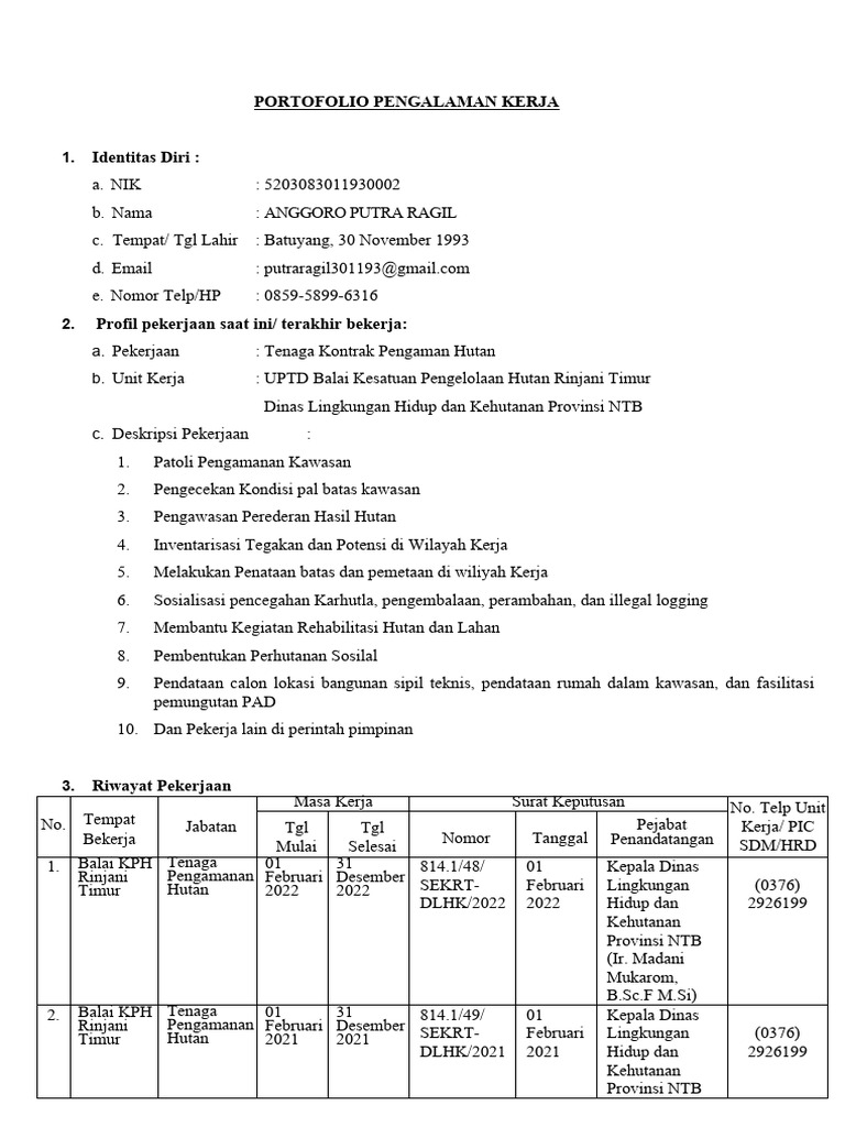 Portofolio Ank | PDF