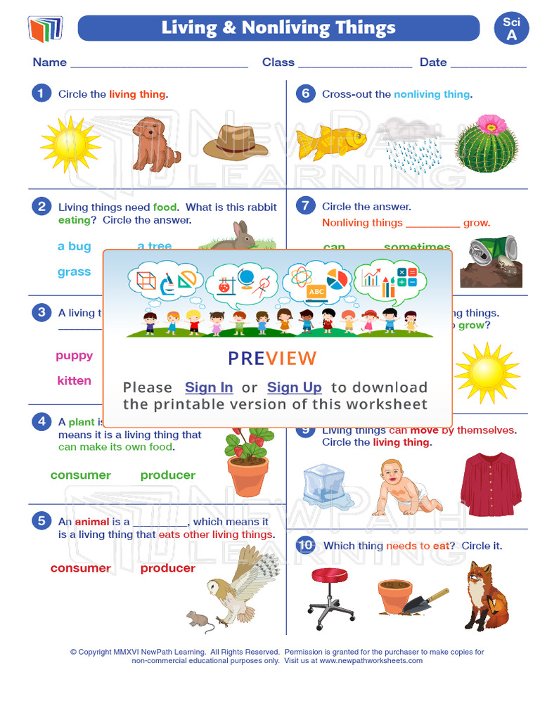 worksheet-science-grade-1-living-and-nonliving-things-3 | PDF ...