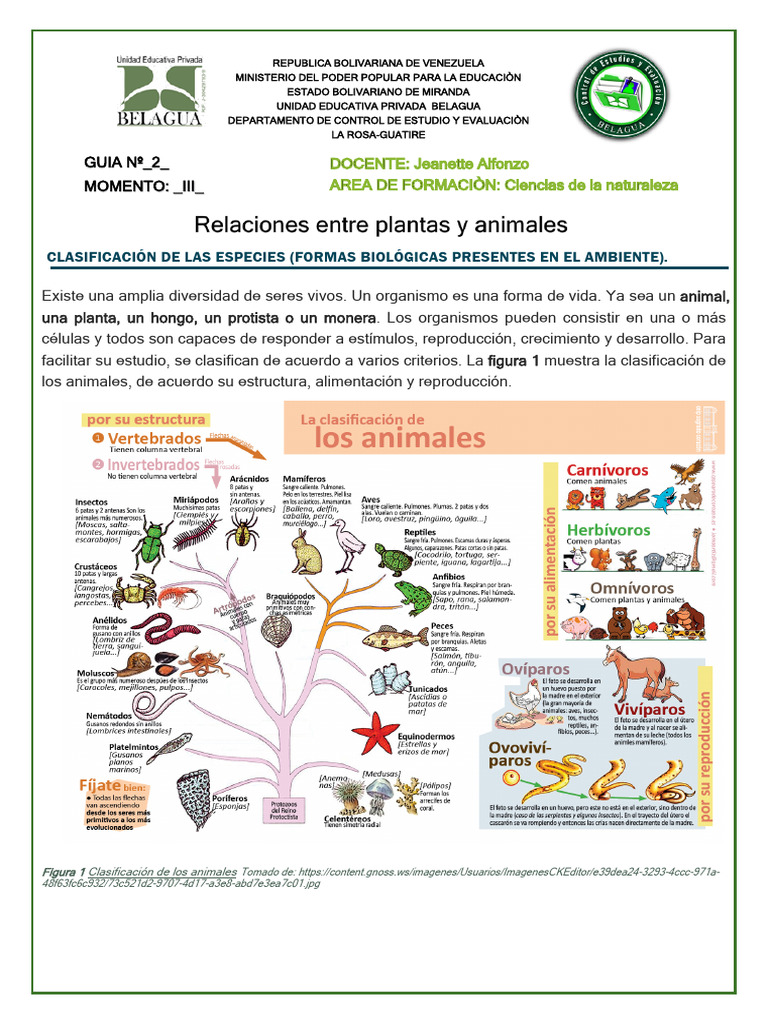 Relaciones Entre Plantas y Animales | PDF | Red alimentaria | Organismos