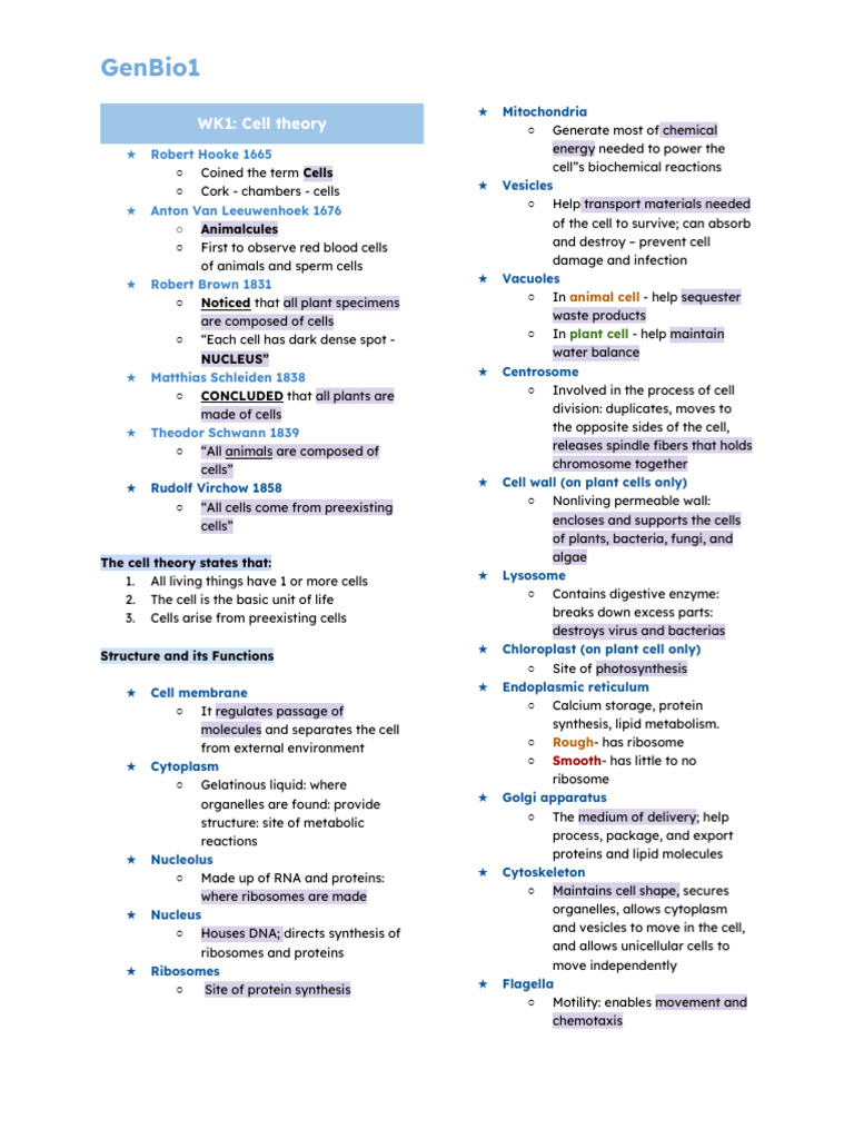 GenBio1 Reviewer | PDF | Meiosis | Enzyme