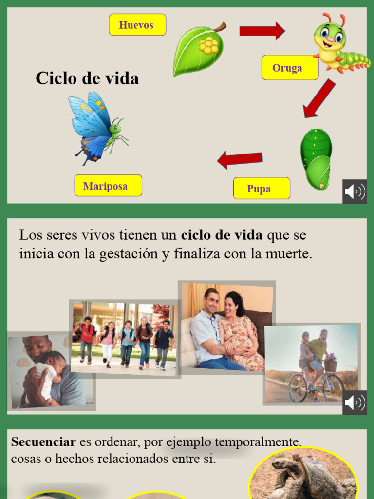 Ciclo de Vida | PDF | Ciencia y matemáticas