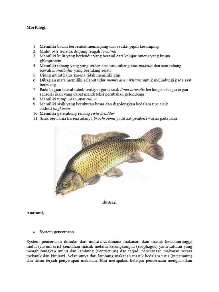 Morfologi Pisces | PDF