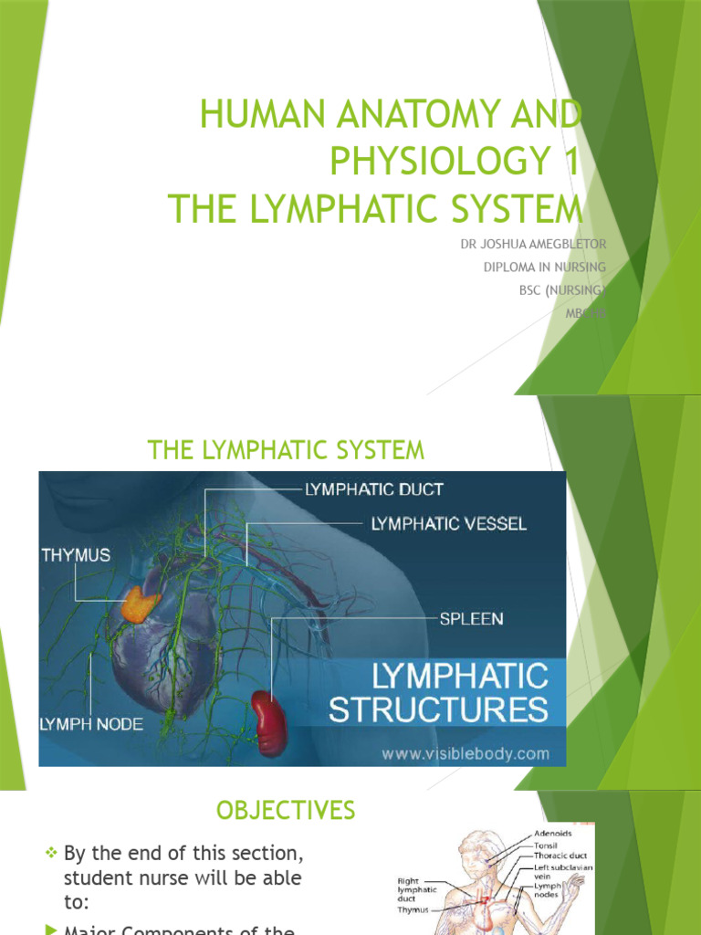 HUMAN ANATOMY AND PHYSIOLOGY 1 Lymphatic Syst | PDF | Self-Improvement ...