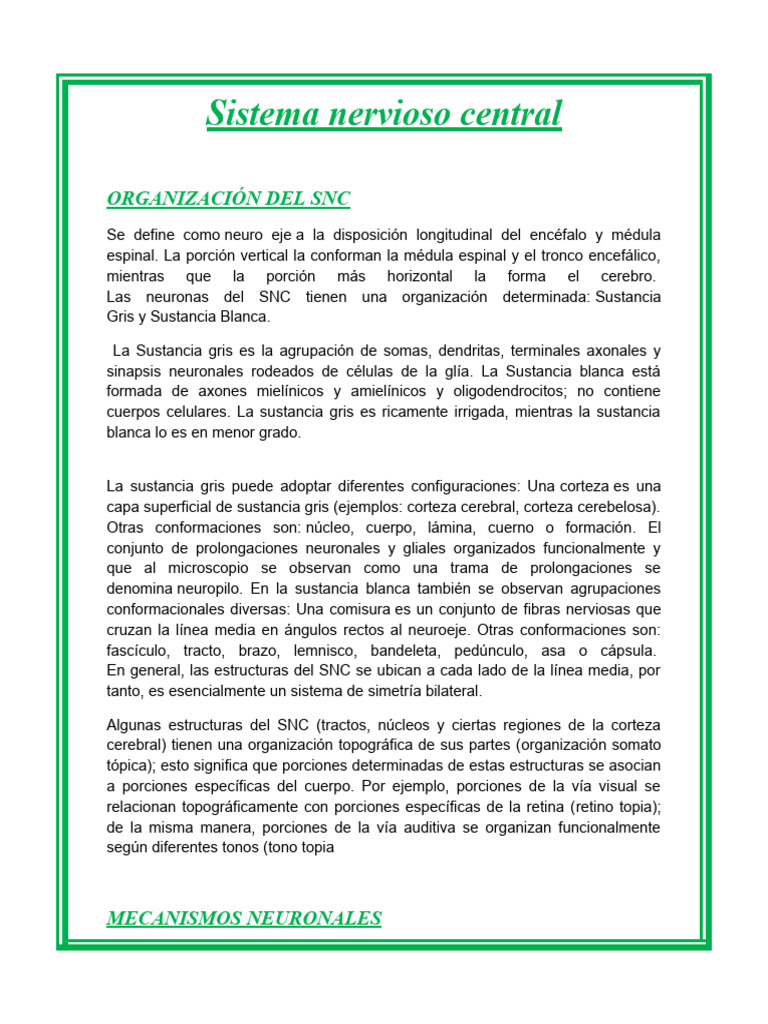Organización Del SNC | PDF
