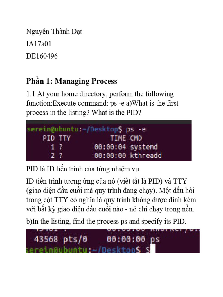 DE160496 DATNT IA17a01 LAB3 4 | PDF