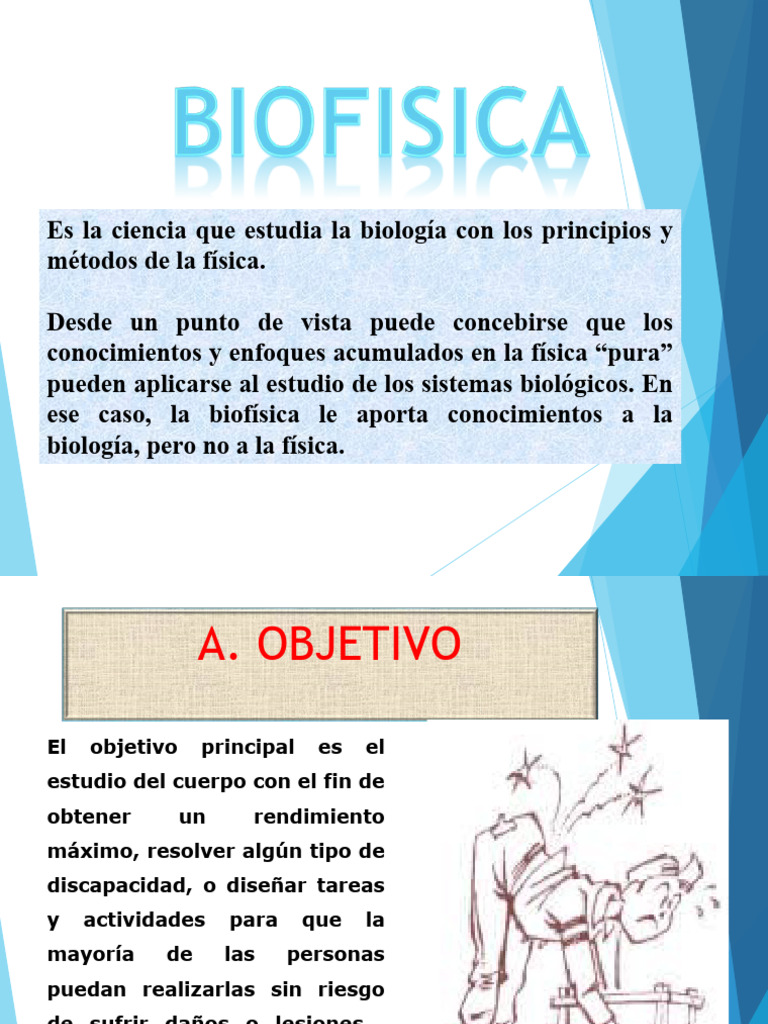 Tema 1 Biomecanica Humana - Microb - Dic.2023 | PDF | Articulación | Biofísica