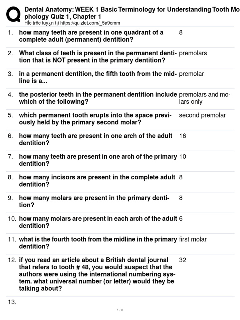 Dental Anatomy - WEEK 1 Basic Terminology For Understanding Tooth ...