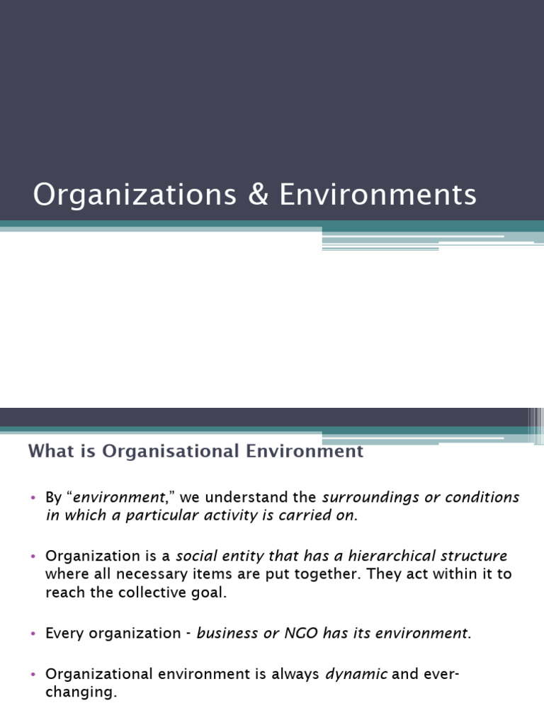 Organizational Environment Insights | PDF | Economics | Organizational ...