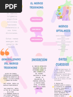 Analisis de Howes | PDF | Diente | Ramas de Odontología