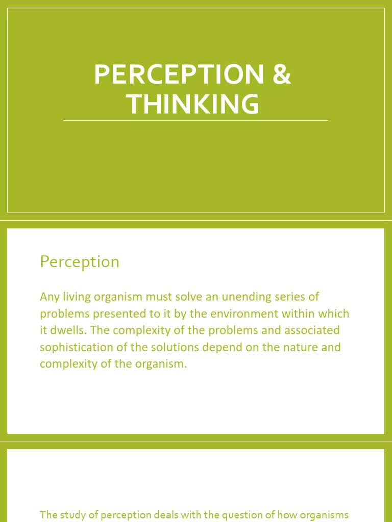 Perception & Thinking | PDF | Perception | Argument