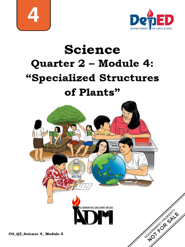 Science4 q2 Mod4 Specializedstructures v2-1 | PDF | Leaf | Plants
