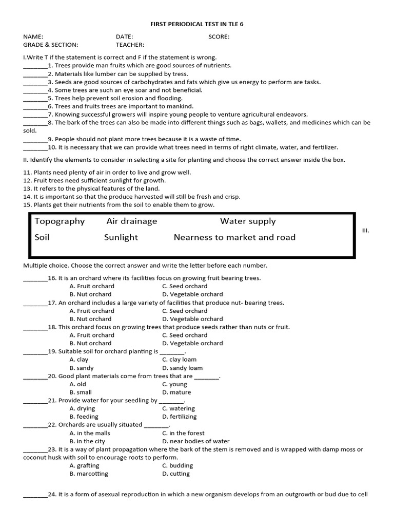 PT Tle | PDF | Trees | Plants