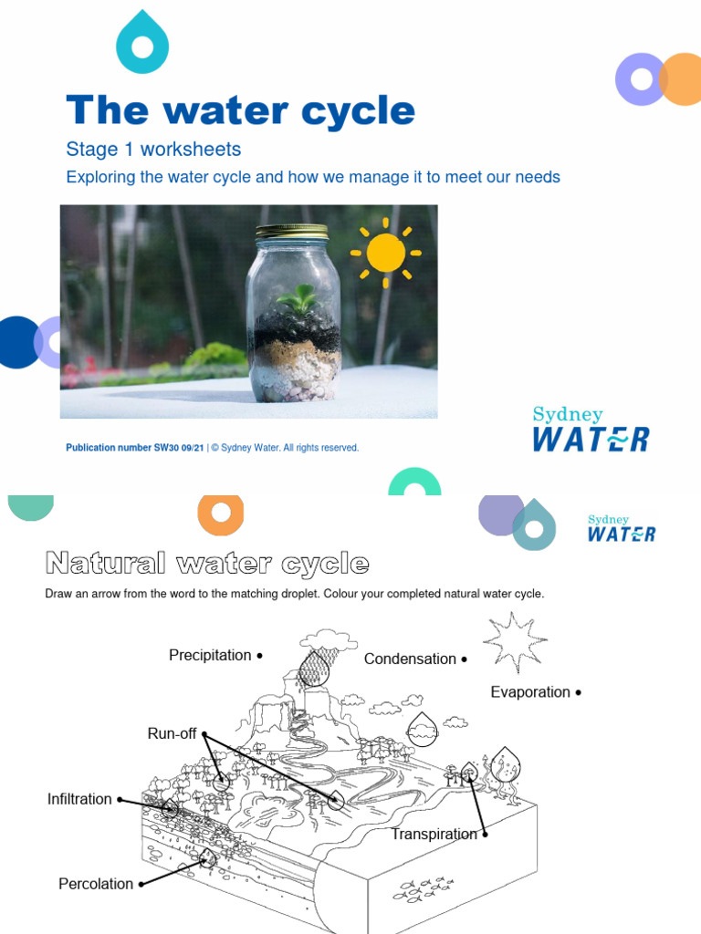 The Water Cycle Worksheets | PDF | Water Cycle | Water
