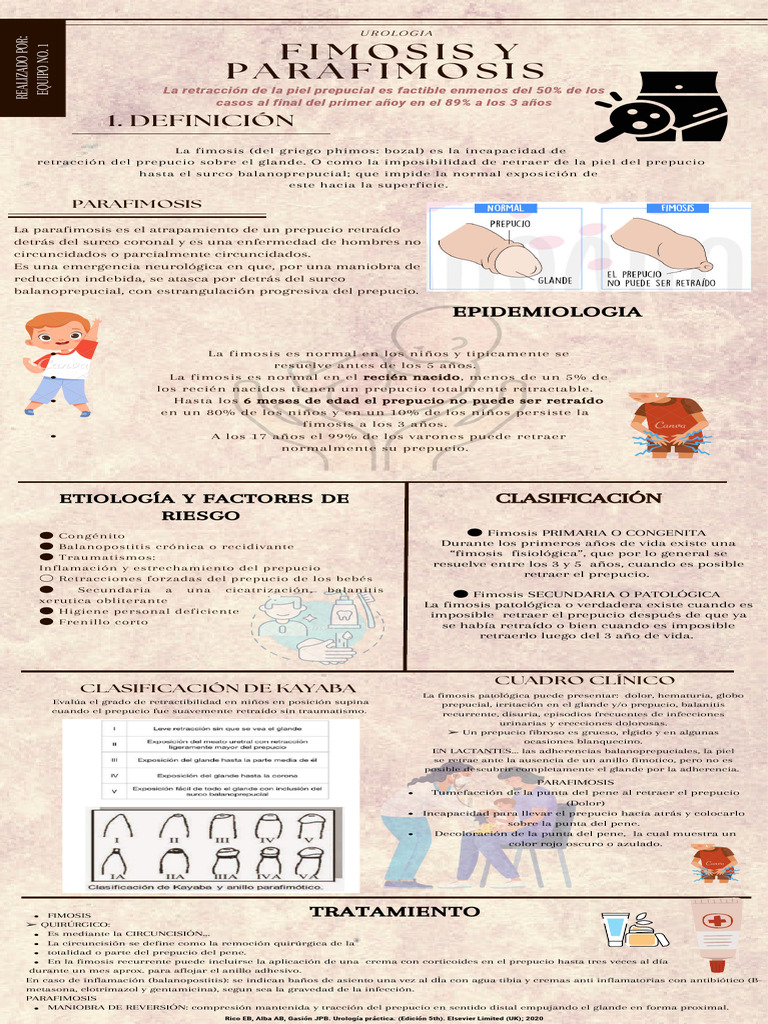 Clasificación y tratamiento de fimosis | PDF | Urología | Mamíferos machos