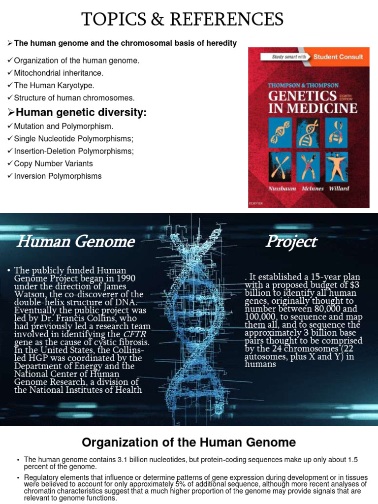 MB & Genetics 2 | PDF | Human Genome | Mitochondrial Dna