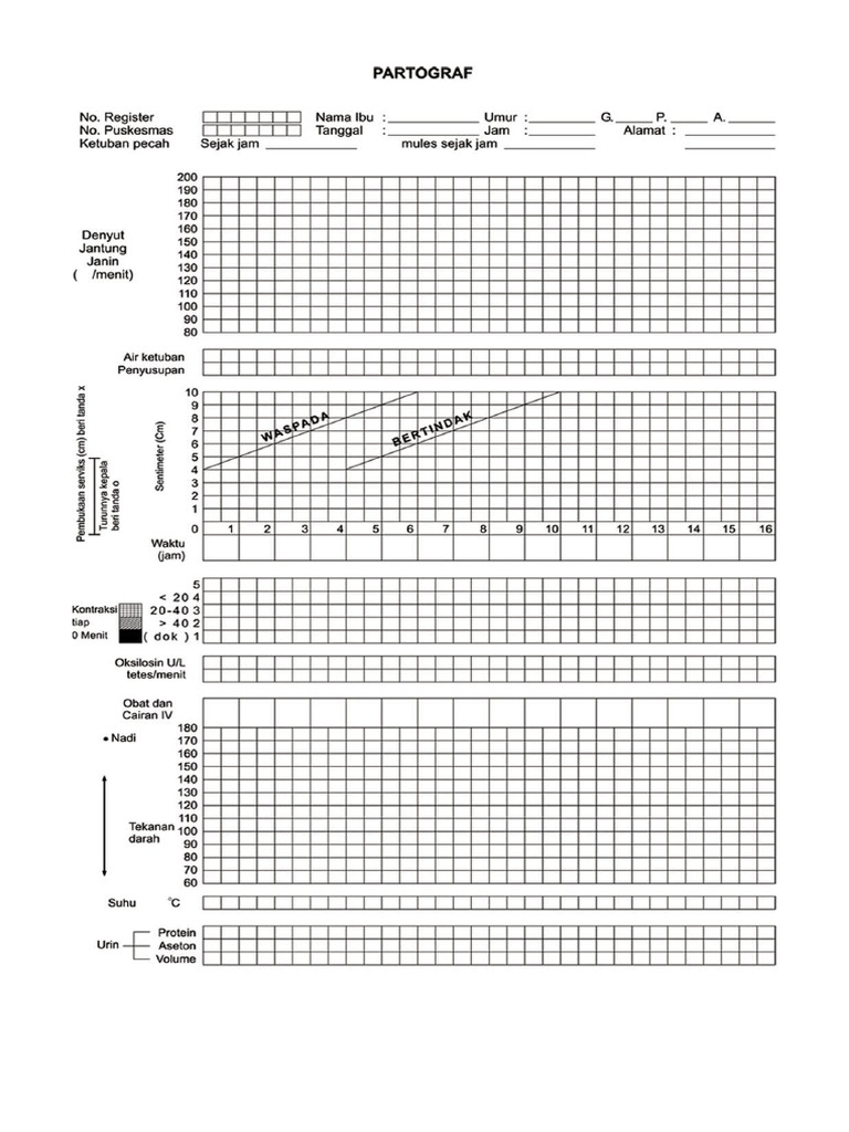 Contoh Format Partograf | PDF