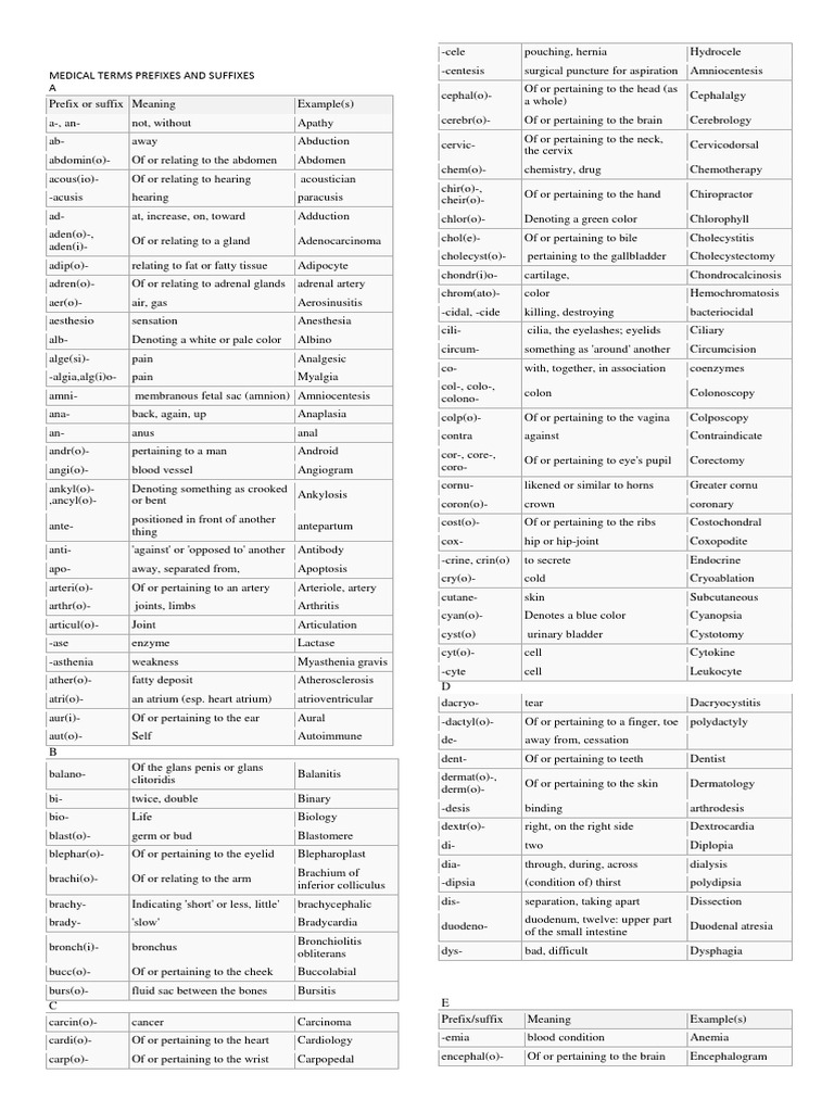 Medical Terms: Anatomy Prefixes/Suffixes | PDF | Thorax | Anatomy