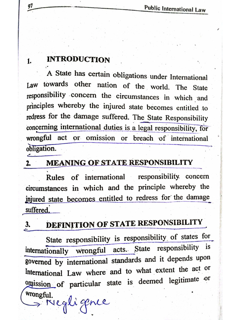 State Responsibility | PDF