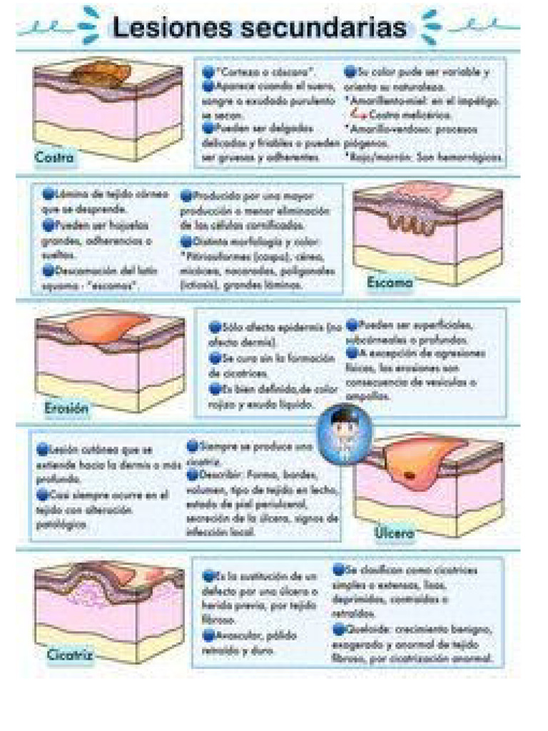 Lesiones Elementales de La Piel | PDF