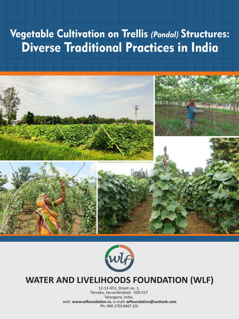 Trellis Vegetable Cultivation in India | PDF | Agriculture | Vegetables