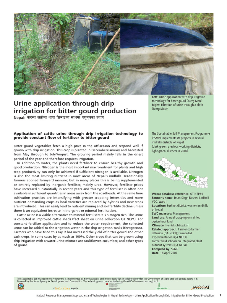 Urine Application Through Drip Irrigation For Bitter Gourd Production ...