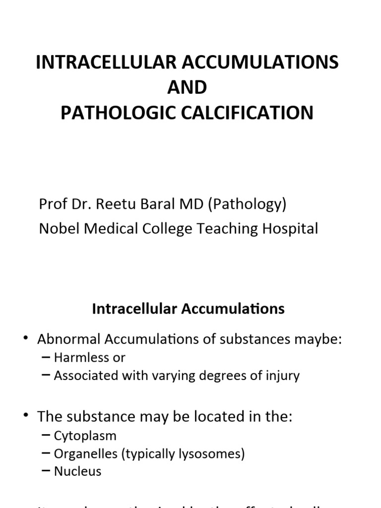 Intracellular Accumulations & Calcification | PDF | Medical Specialties ...