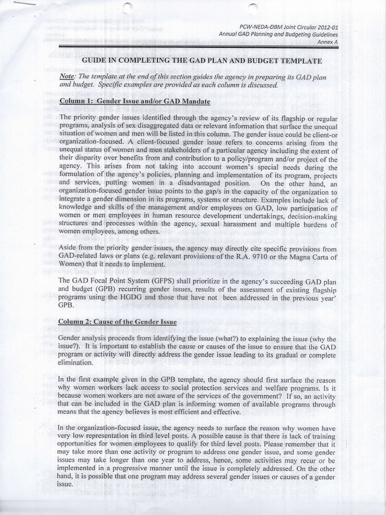 Guide in Completing The GAD Plan N Budget Template001 | PDF