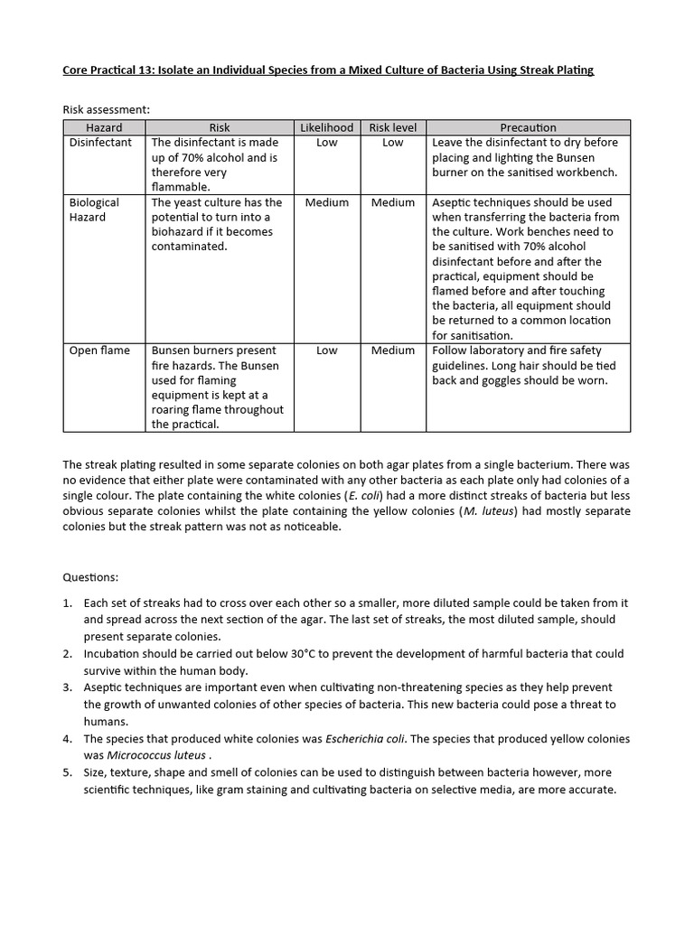 13 - Isolate An Individual Species From A Mixed Culture of Bacteria Using Streak Plating | PDF ...