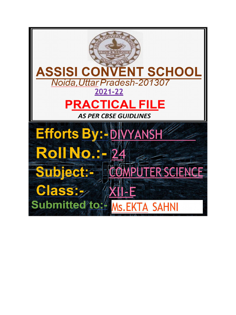 Computer Practicle File Pdf 6926