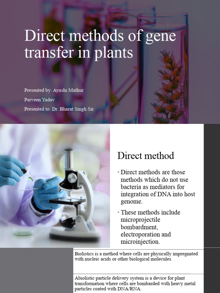 Direct Methods of Gene Transfer in Plants | PDF | Molecular Genetics ...