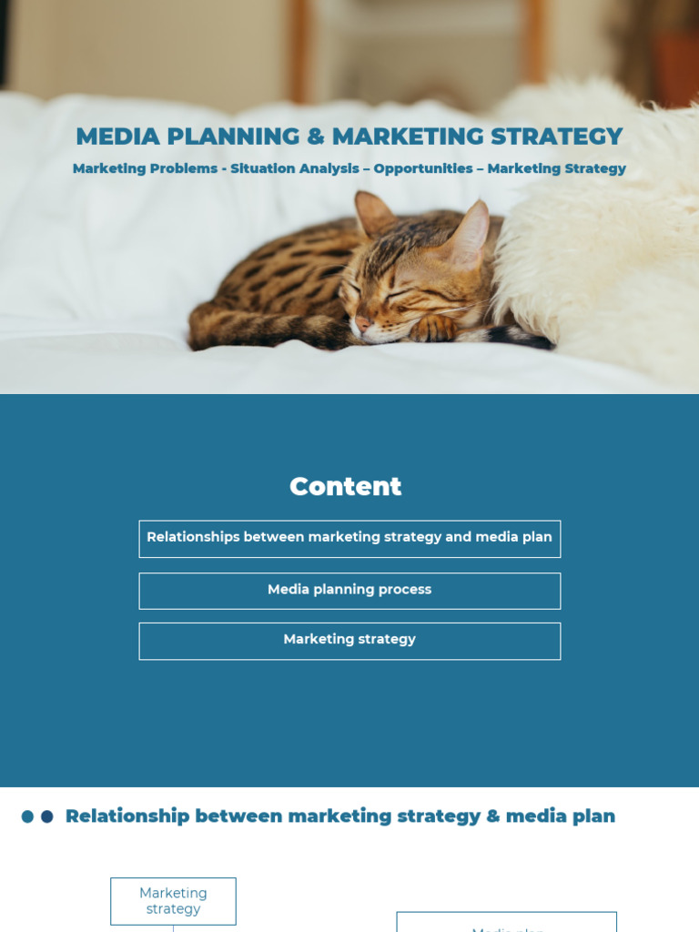 (Media Planning) Chapter 4 | PDF | Marketing | Marketing Strategy