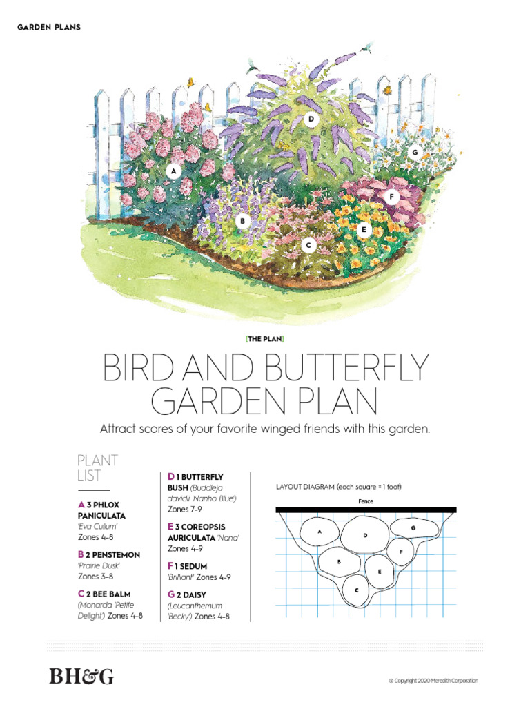 BHG Bird Butterfly Garden Plan | Download Free PDF | Mulch | Trees