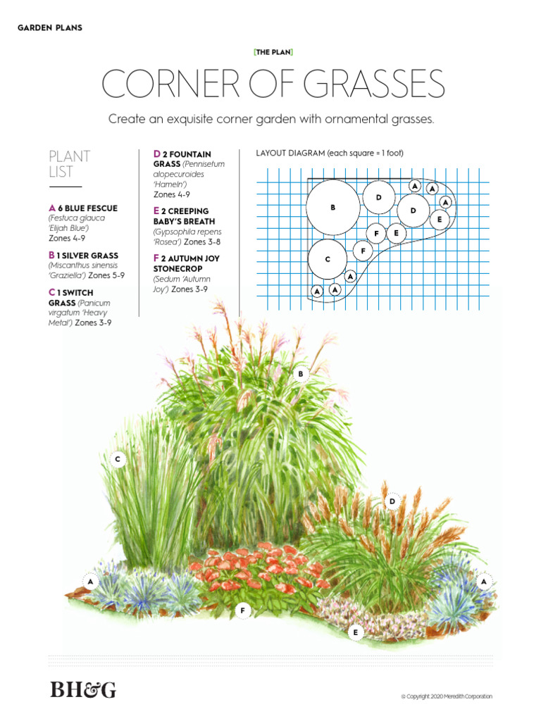 BHG Corner of Grasses Garden Plan | PDF | Mulch | Trees