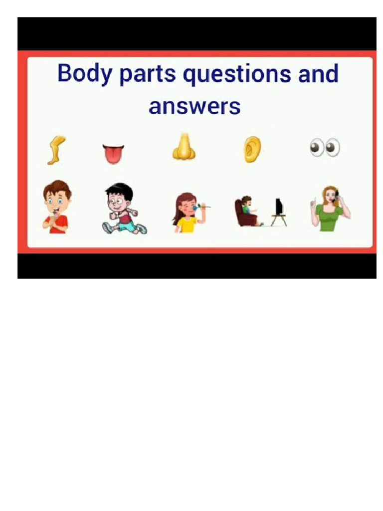 Parts of The Body | PDF