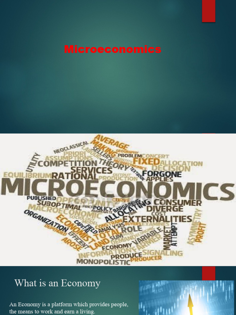 Grade XI - Microeconomics - Introduction | PDF | Economics | Microeconomics