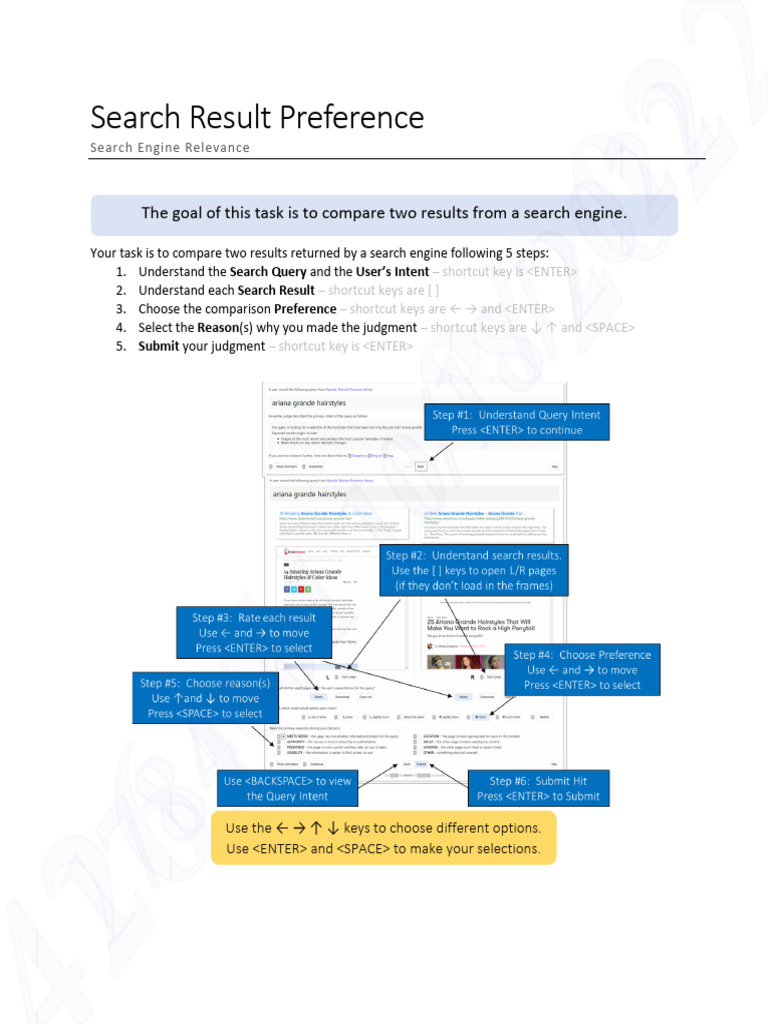 Search Engine Result Preference Guidelines v22811 | PDF | World Wide Web | Internet & Web
