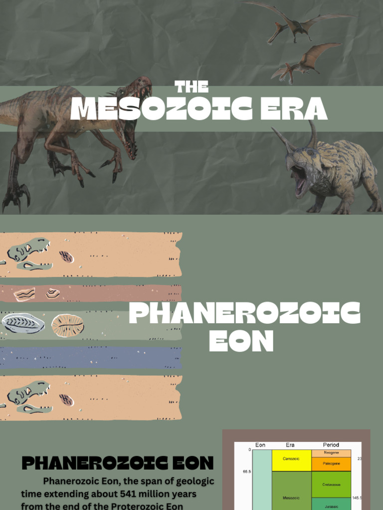 Mesozoic Era "Age of Dinosaurs" | PDF | Earth Sciences | Nature