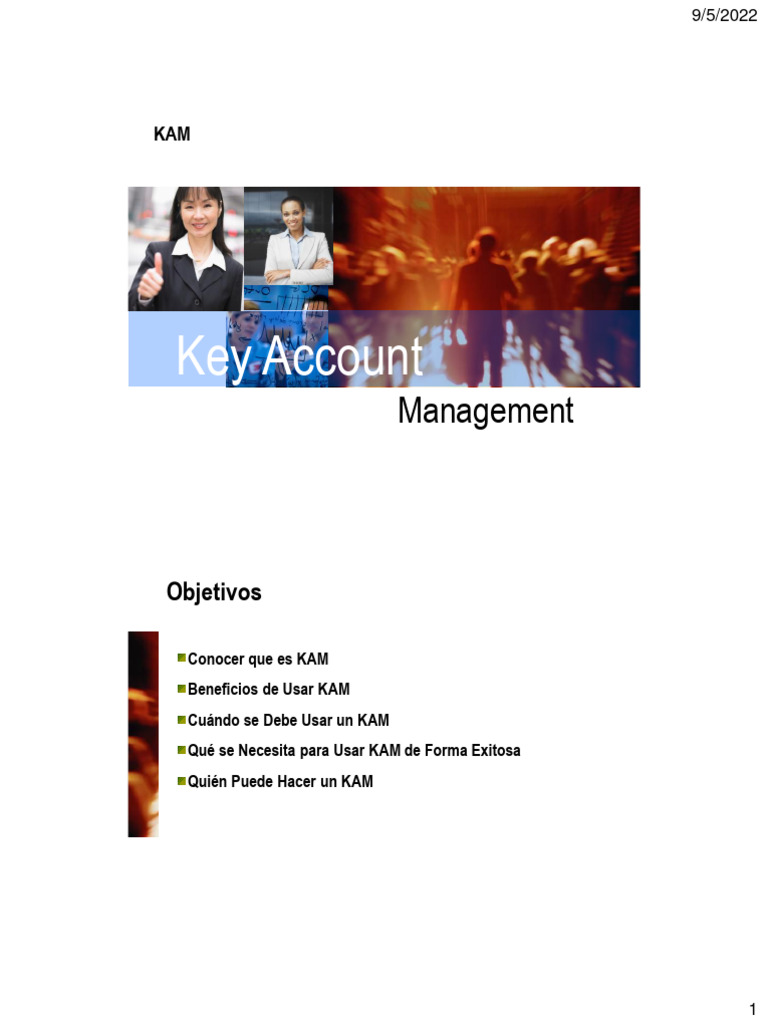 Proyecto KAM - Modelo de Fiocca | PDF | Cliente | Business