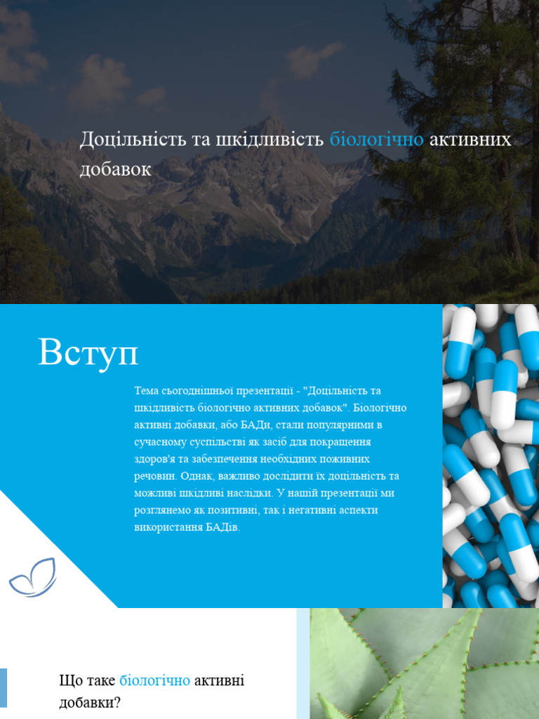 Mountain | PDF