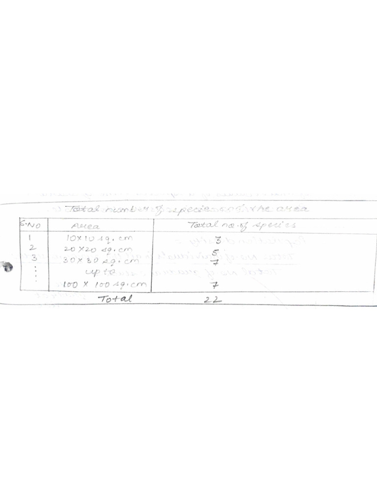Practical Observation Table | PDF