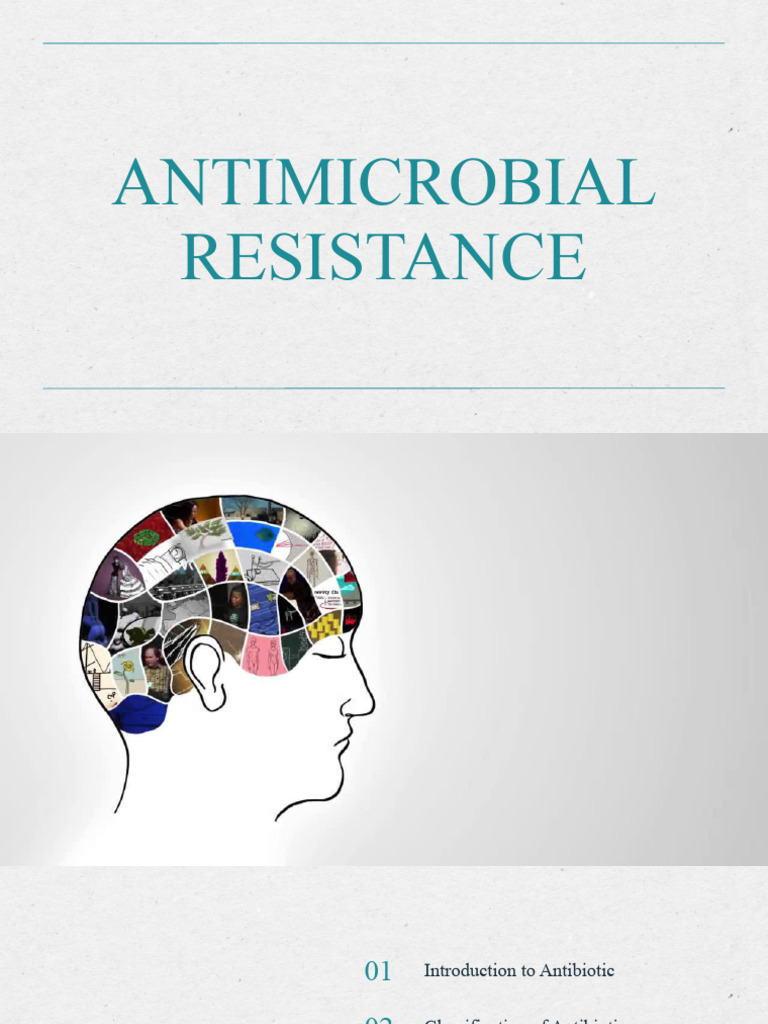 Antimicrobial Resistance Presentation | PDF | Antimicrobial Resistance ...